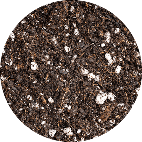 BioAll by bio365: All-in-One Solution for Plant Growth | bio365