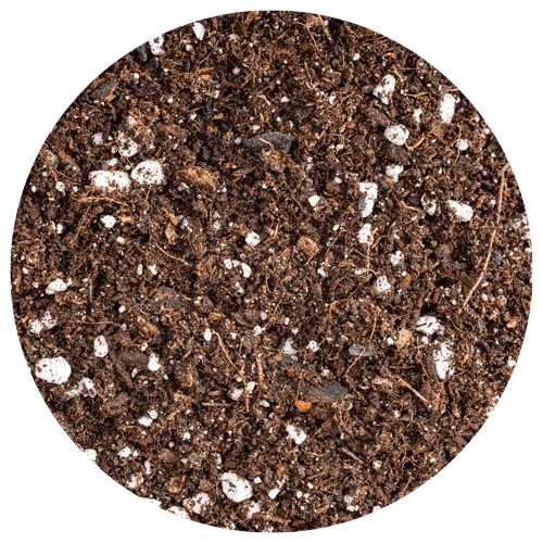 Premium Biochar Soil Products for Plant Growth | bio365