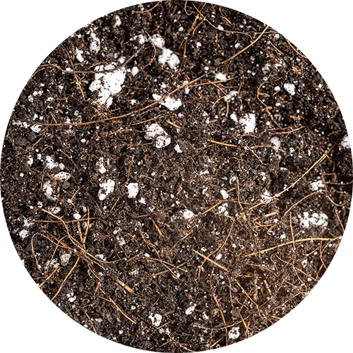 Premium Biochar Soil Products for Plant Growth | bio365