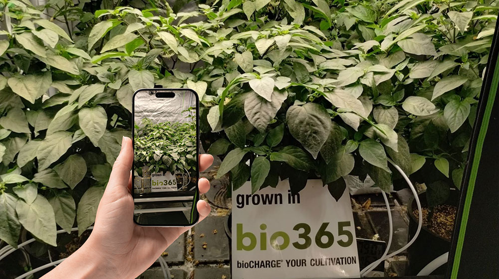 Try Bio365 Products for Free: Biochar & Soil Solutions Trial | bio365